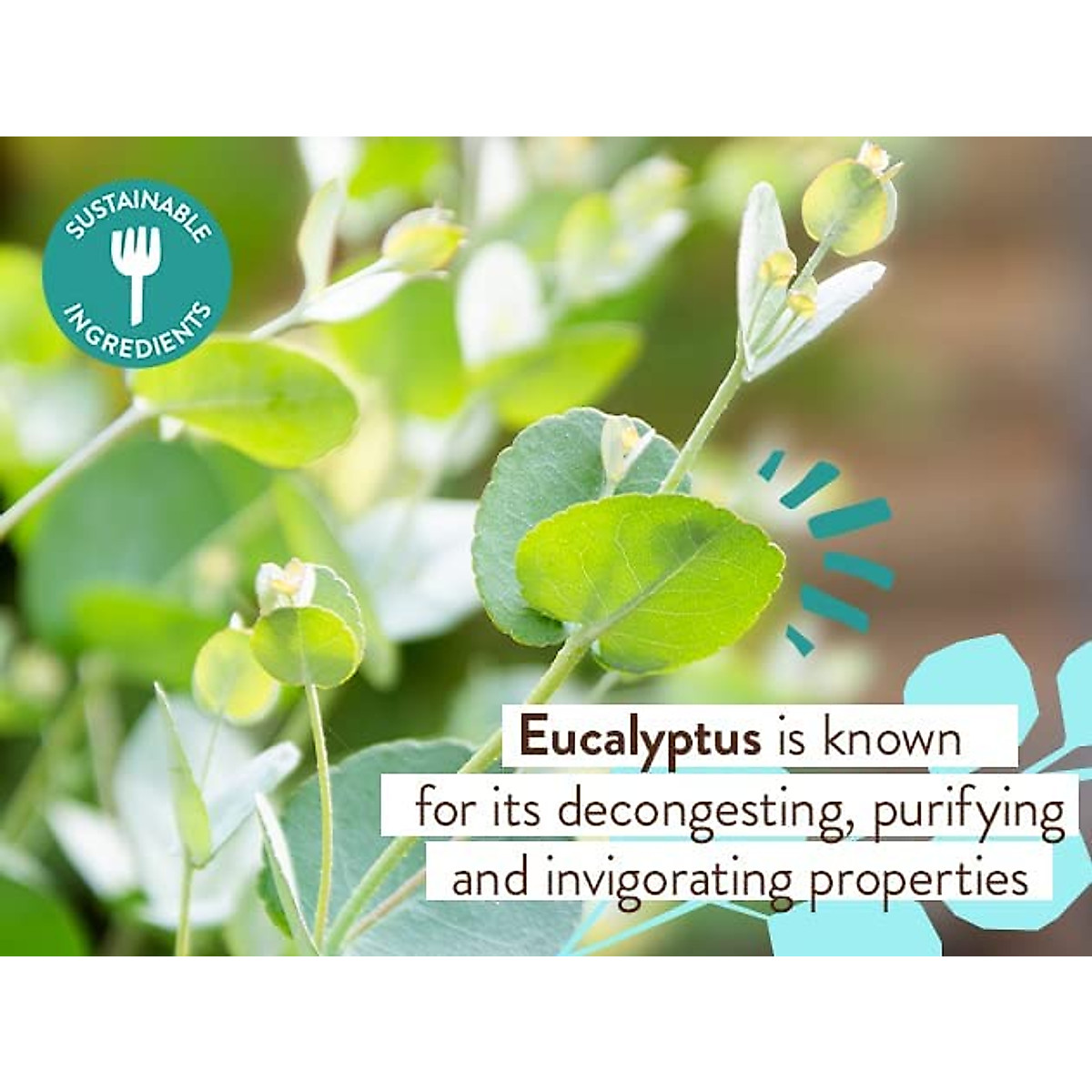 Babo Botanicals Eucalyptus Remedy Plant-Based 3-in-1 Shampoo, Bubble Bath & Wash - with Vapors of Eucalyptus, Rosemary & Peppermint - For Babies, Kids or Sensitive Skin - EWG Verified - 15 fl. oz.