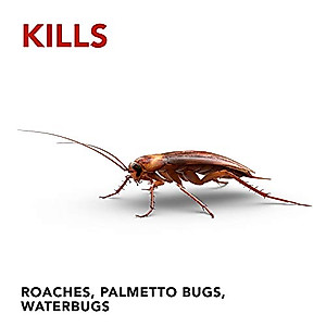 Raid Double Control Small Roach Baits Plus Egg Stopper 0.63 Ounce (Pack of 1)