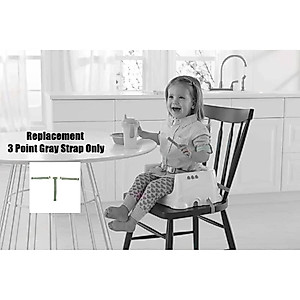 Replacement Parts for Fisher-Price Booster Seat - Fisher-Price Healthy Care Booster Seat DLT02 and V8638 ~ Replacement 3 Point Gray Strap ~ Waist and Crotch