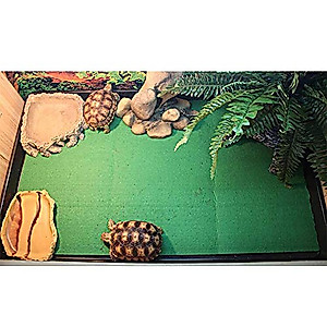 47.2" X 23.6" Reptile Carpet Large Mat Substrate Liner Bedding Reptile Supplies for Terrarium Lizards Snakes Bearded Dragon Gecko Chamelon Turtles Iguana