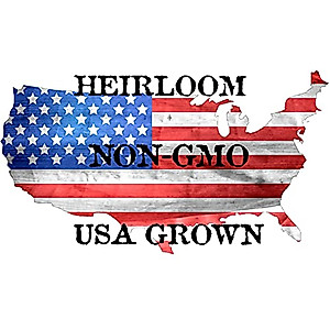 50 Black Diamond Watermelon Seeds for Planting - Heirloom Non-GMO Fruit Seeds for Planting - Grows Big Giant Watermelons Averaging 30-50 lbs