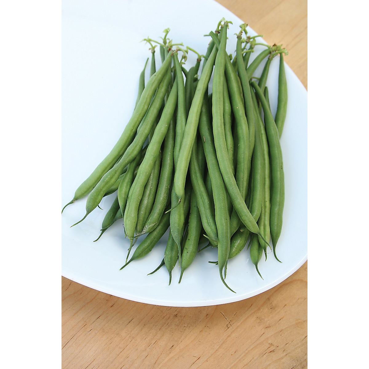 Burpee French Filet Bush Bean Seeds 8 ounces of seed