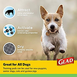 Glad for Pets Earth Friendly Bamboo Training Pads | Eco Friendly Puppy Pads for All Dogs | 85 Super Absorbent Puppy Training Pads, Deodorizing Dog Training Pads for Pets