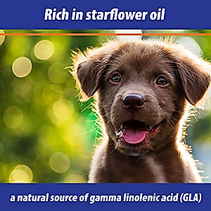 Exmarid Dry Skin Formula With Starflower Oil, 150ml