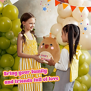 Easfan Birthday Capybara Plush Pillow Soft Toys with Happy Birthday Colorful Embroidered Stuffed Animals Gifts for Kids Adults, 12 inches