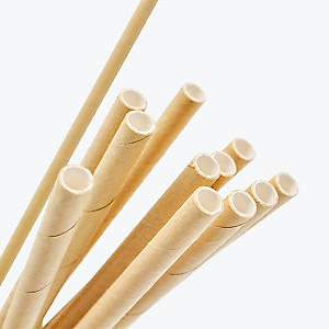 Individually Wrapped 8" Diameter No-Sog Straws|Heavy Duty,100% Biodegradable,Plastic Free|Made of Plant-Based Sugarcane|Compostable Straws|Pack of 100