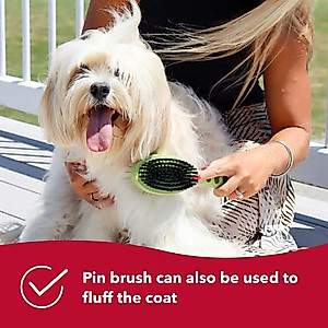 Coastal Pet Safari Pin and Bristle Combo Dog Brush with Plastic Handle - 2-in-1 Wire Pin Brush and Dog Bristle Brush - Ideal for Multi-Dog Household - For Dogs with Short and Long Hair - Large
