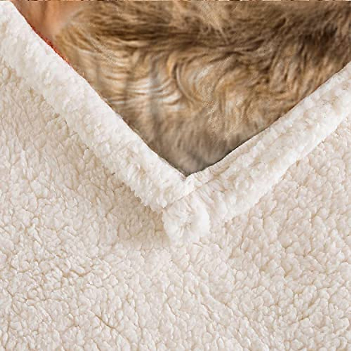 AILONEN Dog Blanket for Kids Adults, Animal Cute Puppy Plush Blanket, Double Sided Fabric Lamb Wool Flannel Sherpa Throw Blanket(Golden Retriever,Throw, 47 x31 Inches)