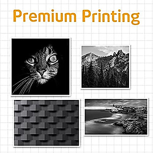 CG CHINGER (NO Toner) Compatible Drum Unit Replacement for Brother DR730 DR-730 for HL-L2350DW HLL2395DW HLL2390DW HL-L2370DW HL-L2370DWXL MFC-L2750DW MFC-L2750DWXL MFC-L2710DW Printer