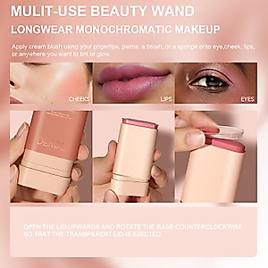 Cream Blush Stick, Multi-use Stick Blush Makeup for Cheek and Lip, Monochromatic Blush Face Beauty Wand for Women, Long Lasting, Waterproof, Moisturizer, Matte Finish, 1oz (#01 Pink)