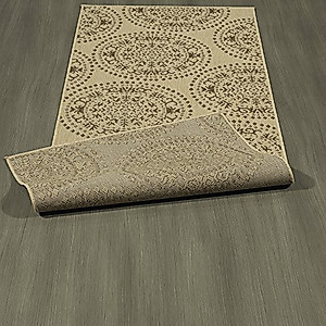 Silk Road Concepts Collection Rugs, 2'7" x 7', Beige Medallion