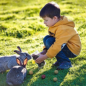 Nuanchu 22 Pieces Flowers Timothy Hay Balls Bunny Chew Balls 3 Flavors Chew Toys Chew Treats Timothy Molar Ball for Bunny, Chinchillas Gerbils, Hamster Guinea Pig and Other Small Animals Teeth Care