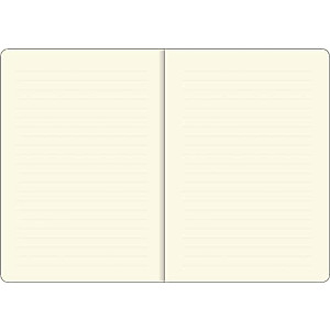 Twilight Garden Journal (Diary, Notebook) (Small Format Journal)