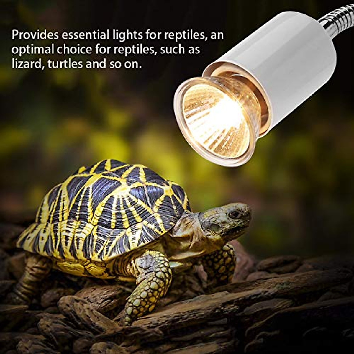 Pssopp 25W/50W 220‑240V Heating Light Aquarium Heat Basking Lamp LightB Bulb for Reptile Lizard Turtles(50W)