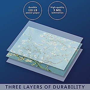 PalaceLearning Vincent Van Gogh Almond Blossom Poster Print - 1890 - Fine Art Wall Decor (18" x 24", Laminated)