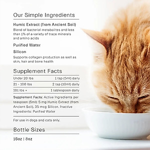 ION Intelligence of Nature Gut Support for Pets | Strengthens Digestion, Supports Kidneys, Aids Immune Function, and Defends from Food Toxins (16 Ounce)