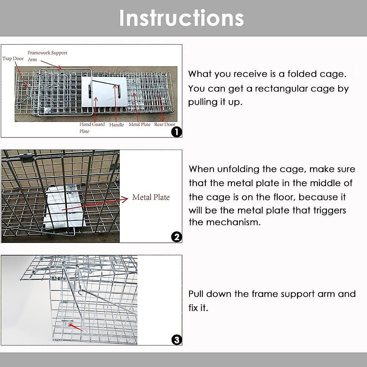 Jahy2Tech Live Animal Trap Cage 24"X8"X 7.5" Cat Trap Cage Foldable Steel Humane Catch and Release for Rabbit, Groundhog, Squirrel, Raccoon, Mole, Gopher, Cat