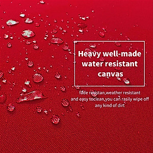 Cinnamonee Outdoor Cushion Covers Replacement Outdoor Patio Pillow Cover Comfortable for All Seasons Sofa Couches Loveseats Lava (20"X22"X4" 2 Pack, Red)