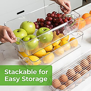 Greenco Refrigerator Organizer Bins, Fridge Organizer, Organizers and Storage Clear Bins with Durable Handles, Kitchen Organization, Shatterproof - Set of 6