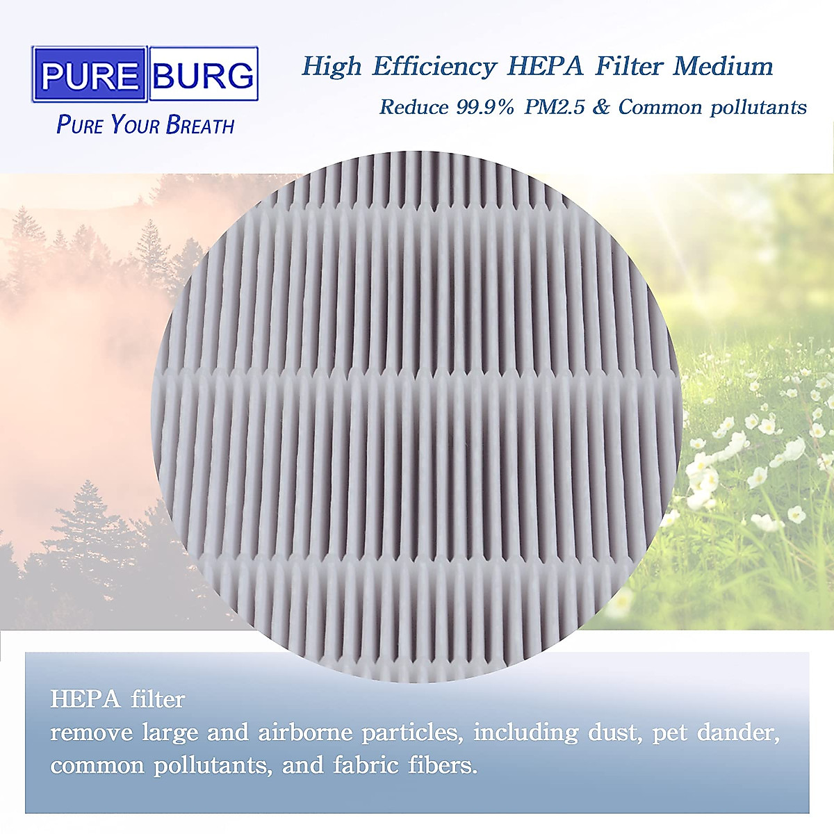 PUREBURG Replacement HEPA Filter Fits to Molekule Air Purifier, High-efficiency air clean Dust VOCs Pet-Hair Home Office, 1-Pack