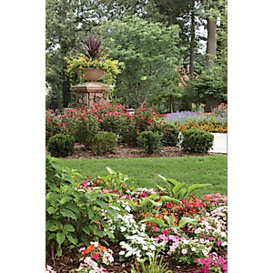 Rain Bird 1300 Flower Bubbler Nozzle, 360° Full Circle Pattern, 1' - 3' Spray Distance