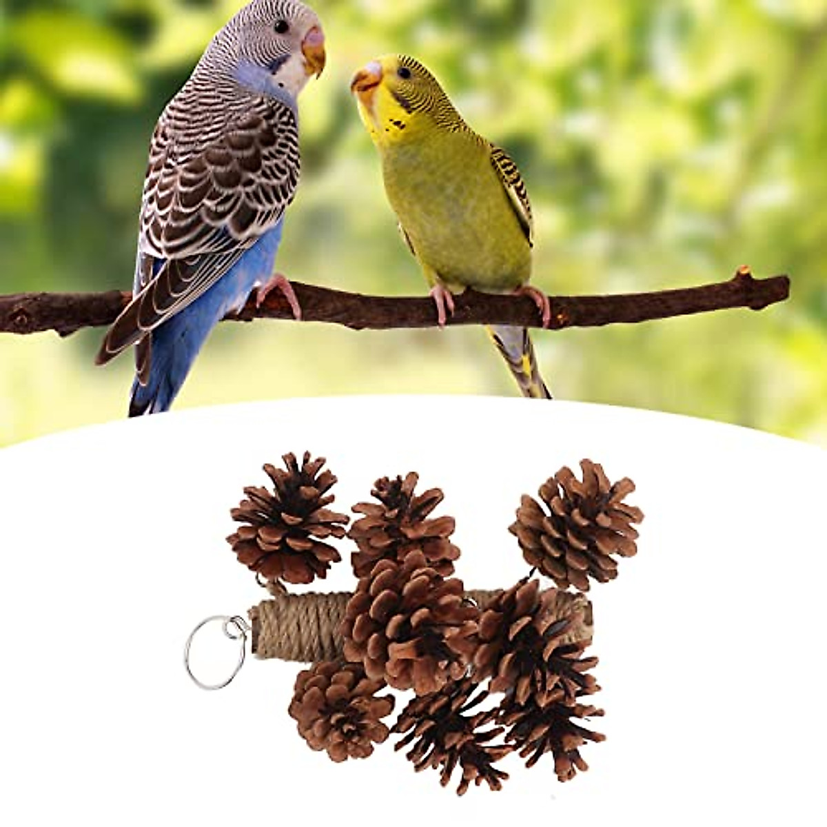 Parrots Pine Cone Chewing Toy, Hamster Chew Toys Hanging Wooden Pine Cones Bird Cage Funny Chewing Toy for Parakeet Cockatiel Grey Lovebirds Budgies Cockatoos(S)