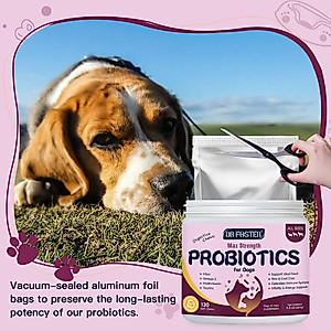 Probiotics for Dogs, Dog Probiotics for Digestive Health - Fiber Riched Prebiotic & Digestive Enzymes with Pumpkin, Omega-3, 6 Billion CFUs Support Gut & Immune Health, Diarrhea, 118 Soft Chews