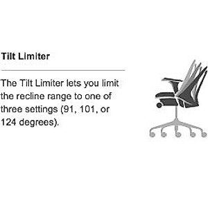 Herman Miller Sayl Chair, Black Rhythm
