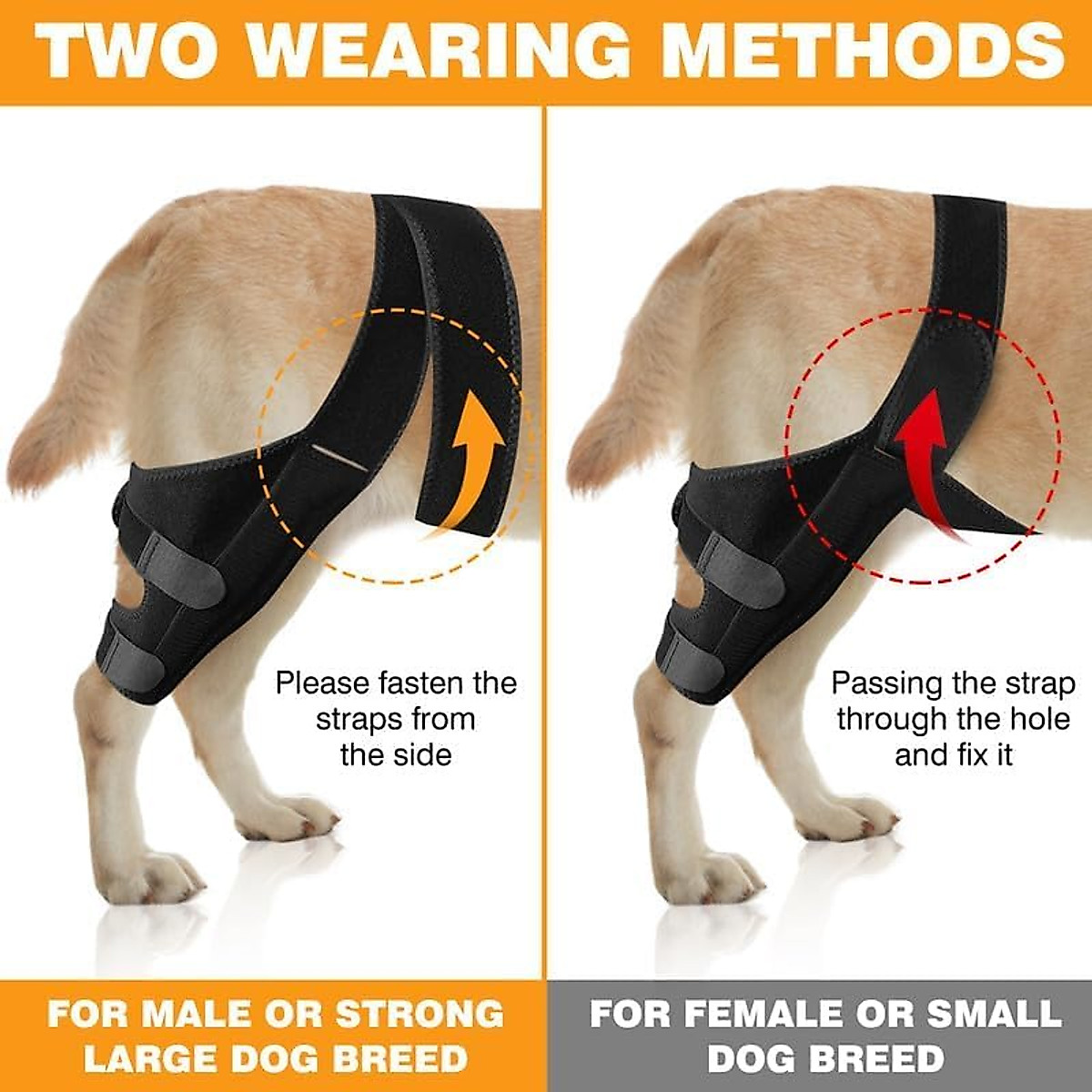 JUANWAN Dog Knee Brace Leg Braces - Dog Canine Knee Stifle Brace Wrap Dog Knee Brace for Torn ACL Hind Leg Joint Pain Muscle Sore Pet Brace Reduces Pain and Inflammation (M)