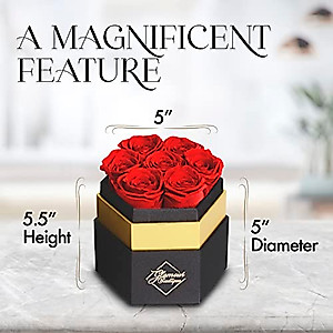 GLAMOUR BOUTIQUE 7-Piece Forever Red Rose Box - Preserved Roses in a Box, Immortal Roses in a Box That Last A Year - Eternal Rose Preserved Flowers for Delivery Prime Mothers Day & Valentines Day