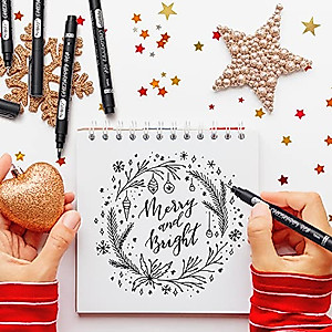 PANDAFLY Calligraphy Pens, 10 Size Calligraphy Pens for Writing, Brush Pens Calligraphy Set for Beginners, Hand Lettering Pens, Brush Markers Set, Black Ink Drawing Pens