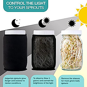 VIREOR Sprouting Jar Kit - 2 Wide Mouth Mason Jars with Premium Stainless Steel - Sprouts Growing Kit Includes Canning Brush and Recipe Book - Sprouting Kit for Growing Broccoli, Alfalfa, Beans