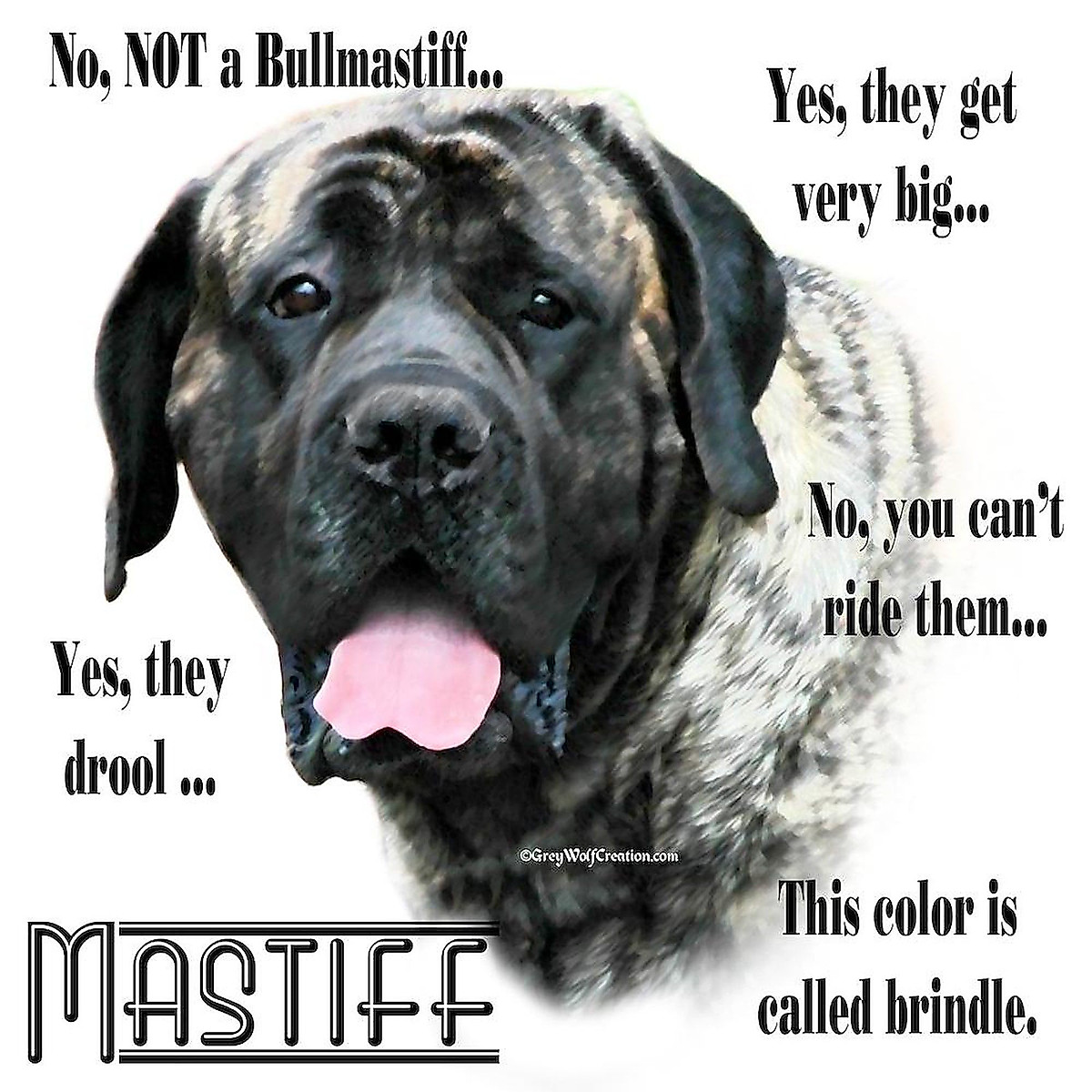 CafePress Mastiff(Brindle) FAQ Mug Ceramic Coffee Mug, Tea Cup 11 oz