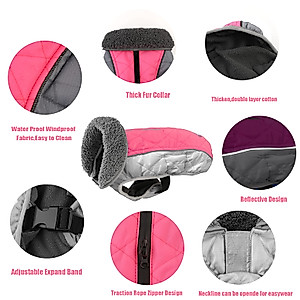 Fragralley Dog Winter Coat - Warm Dog Jacket Soft Fleece Lined for Cold Weather, Waterproof Windproof Puppy Coat, Reflective Adjustable Pet Vest Apparel for Small Medium Large Dogs (Large, Pink)