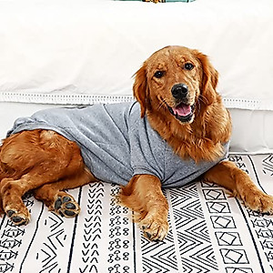 Dog Hoodie, Comfortable Soft Breathable Warm Dog Clothes, Outdoor Sports Dog Face Hoodie, for Small, Medium, and Large Dogs (X-Large, Grey)