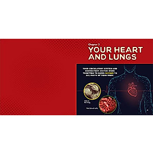 The Fascinating Human Body Book for Kids: 500 Phenomenal Facts! (Fascinating Facts)