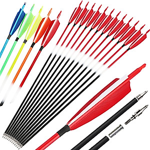AMEYXGS 12Pcs Archery 30Inch Carbon Arrow Target Practice Hunting Arrow Spine 500 with 5inch Shield Turkey Feather Removable Tips for Traditional Recurve Compound Bow Longbow (Red1, 12)