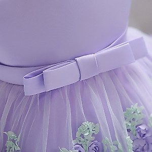 Lito Angels Baby Girls Dresses Pageant Dress Wedding Flower Girl Dress Size 12-18 Months Purple