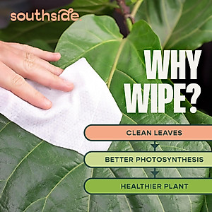 Plant Cleaning Wipes by Southside Plants - Gentle, Plant-Based Wipes for Shiny Leaves and Better Photosynthesis - Unscented, Extra Thick Waffle Weave Leaf Wipes for Indoor & Outdoor Plants - 80 Ct