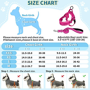SlowTon No Pull Small Dog Harness and Leash Set, Puppy Soft Vest Harness Neck & Chest Adjustable, Reflective Lightweight Harness & Anti-Twist Pet Lead Combo for Small Medium Dogs (Fuchsia, XXS)