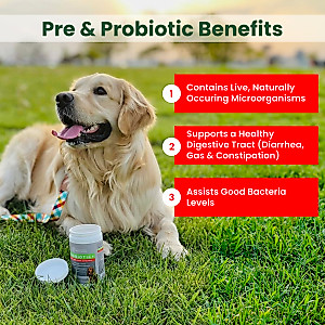 PawMedica Dog Probiotics and Digestive Enzymes, Probiotics for Dogs Made in USA, Pet Probiotic Chews for Dogs, Prebiotics & Probiotic Dog Digestive Support, Probiotic Treats - 120 Dog Probiotic Chews