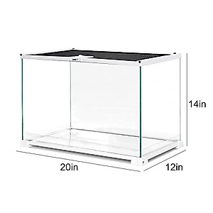 OIIBO 15 Gallon Glass Reptile Terrarium Tank, 20" X 12" X 14" Medium Reptile Terrarium with Sliding Screen Top for Gecko, Hermit Crab, Snake Reptiles and Small Animals