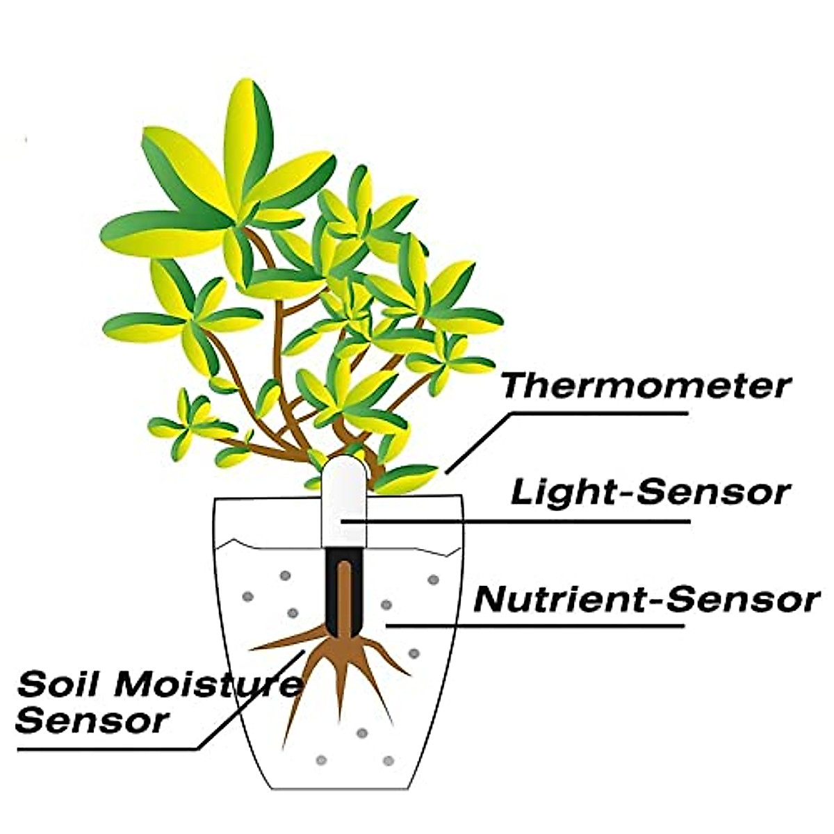 Soil Moisture Meter 4 in 1,Plant Water Monitor,Automatically detect Moisture/Temperature/Light/Fertility,Can Connect to Mobile Phone via Bluetooth,Hygrometer Sensor for Indoor Plants (1pc)