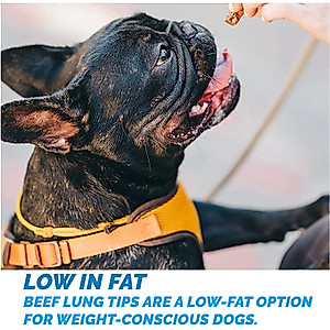 123 Treats Beef Lung Dog Tips Treat - All Natural Premium Jerky Chews for Your Dog (Beef Treats - Made in USA) 8 oz