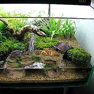 PINVNBY Turtle Basking Platform,Tortoise Resin Dock Resting Rock Reptile Habitat Ornament Hiding Cave Floating Ledge Aquarium Decoration for Bearded Dragons,Lizard,Newts,Frogs