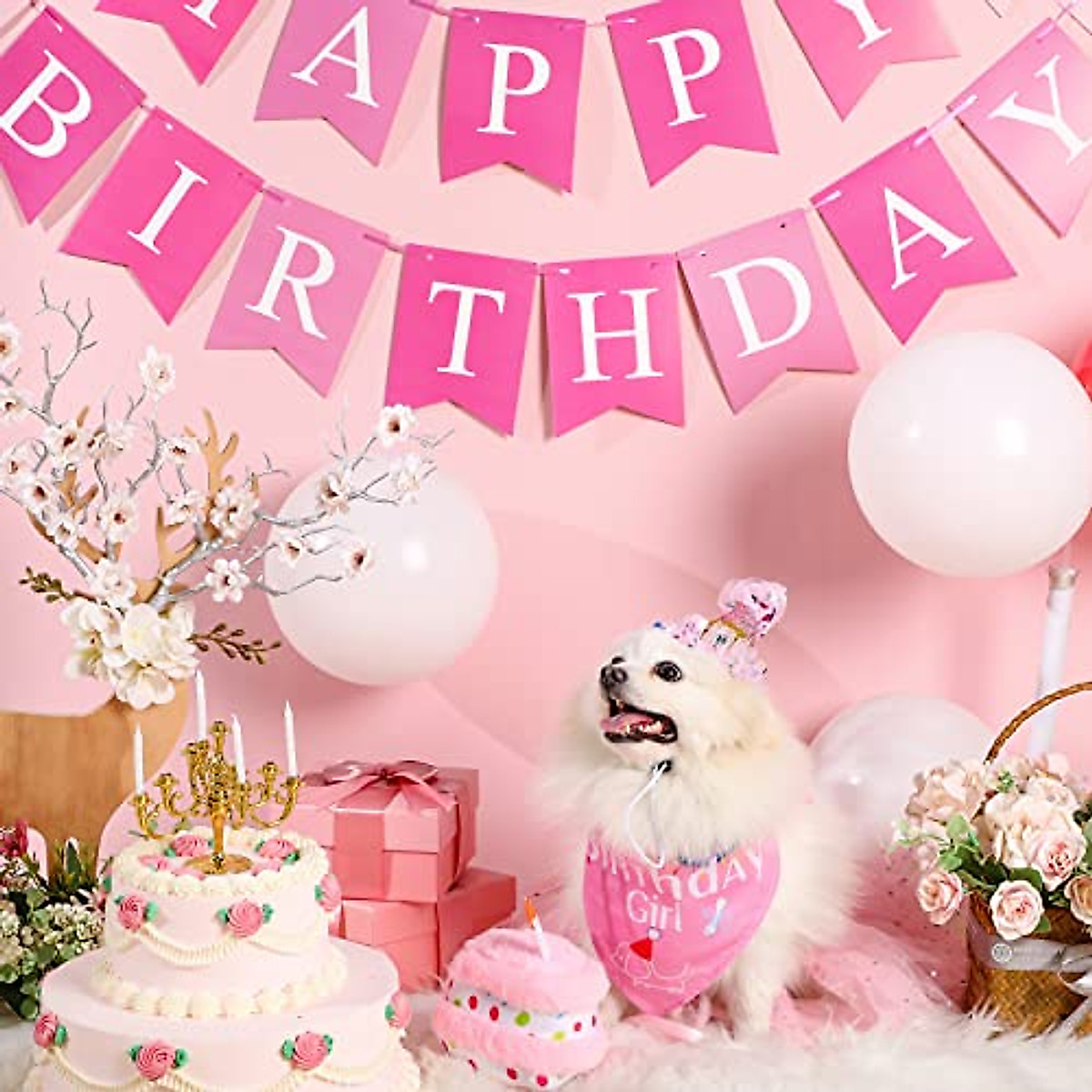 5 Pack Dog Birthday Party Supplies Pink Dog Birthday Set Included Dog Hat Bandana Happy Birthday Banner Dog Tutu and Birthday Cake Dog Party Decorations for Small Medium Large Dog Pet