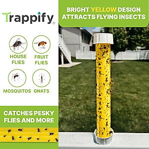 Trappify Hanging Fly Traps Outdoor: Fruit Fly Traps for Indoors | Gnat Trap | Gnat Traps for House Indoor | Fly Trap Indoor - Disposable Sticky Fly Trap for Indoor House Pest Control (4 Pack)