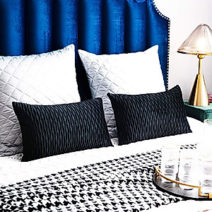 DEZENE Black Striped Decorative Pillow Covers: 2 Pack 12x20 Inch Original Velvet Rectangular Throw Pillow Cases for Farmhouse Couch