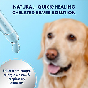 PetSilver Immune Support - Chelated Silver Formula - Promotes Respiratory Health in Cats & Dogs - Sinus & Kennel Cough Treatment - Natural Antibiotic - Allergy Relief - Easy-to-Use Dropper - 2 fl oz