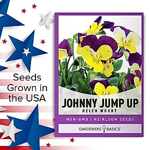 Violet, Johnny Jump Up Flower Seeds for Planting - Flower Seed Packet Annual Flower Open Pollinated, Non-GMO Variety- 1 Gram Seeds Great for Summer Seeds for Flower Gardens by Gardeners Basics